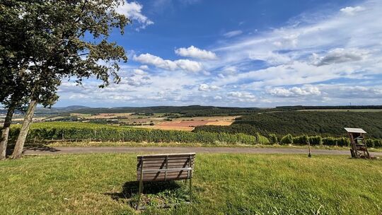 Zum Meddersheimer Weinfest haben die Rotarier ein Wandererlebnis ...