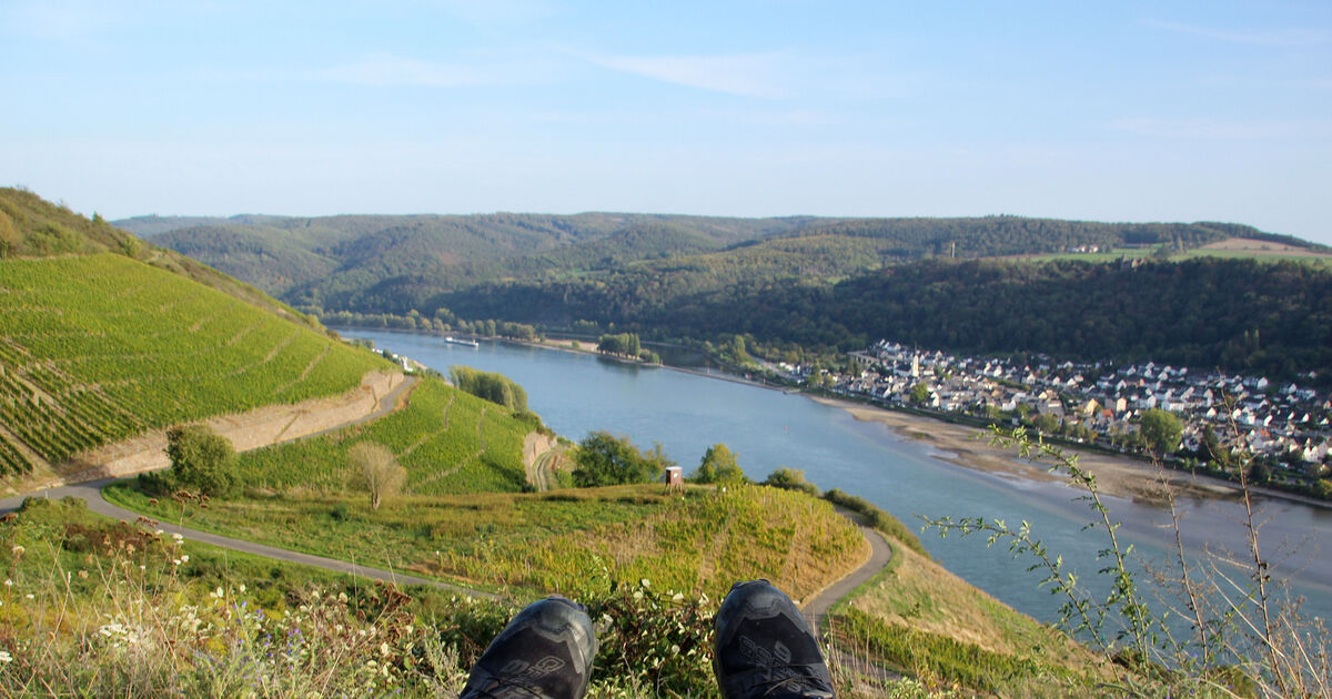 Radwandertipp: Tour über die Höhen bei Boppard und zurück am Fluss ...