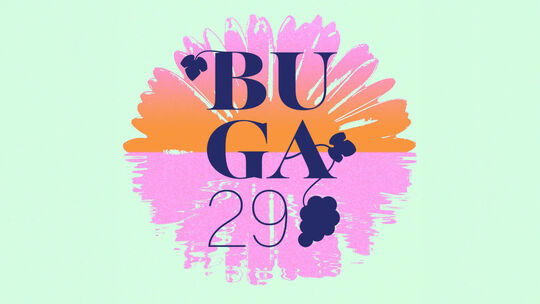 Neues Design für die Buga 2029: Logo soll Tradition und Romantik auf ...