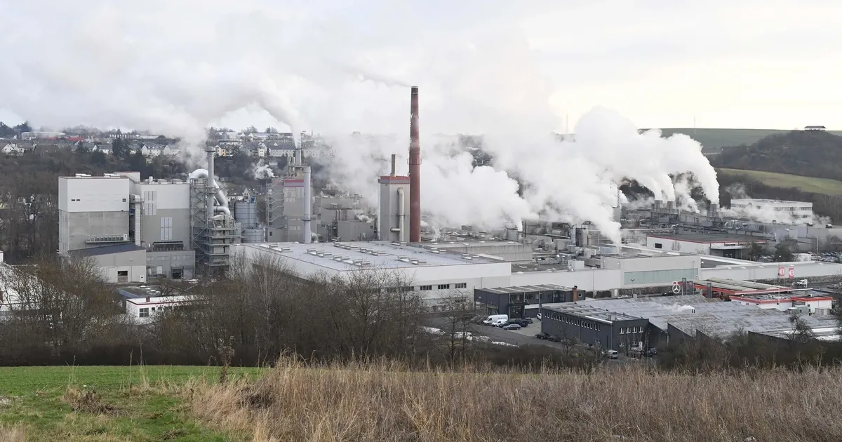 25 Jahre umweltfreundliche Heizenergieerzeugung von der Firma Weig ...