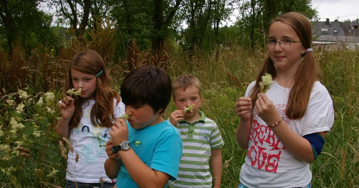 Naturschutzzentrum Westerwald in Holler stellt heimische Tier- und ...