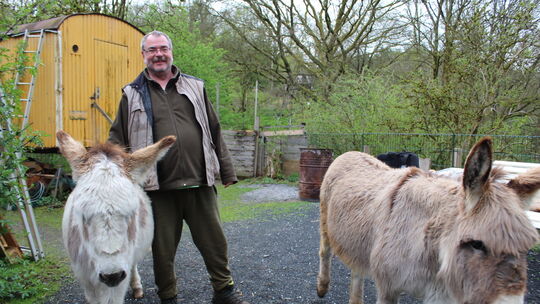 Tierische Kommunikation: Wie verstehe ich die Sprache meines Hundes ...