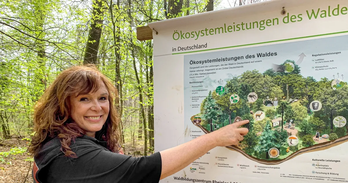 Nominierte aus Hachenburg: Wird Wällerin Monika Runkel Försterin des ...