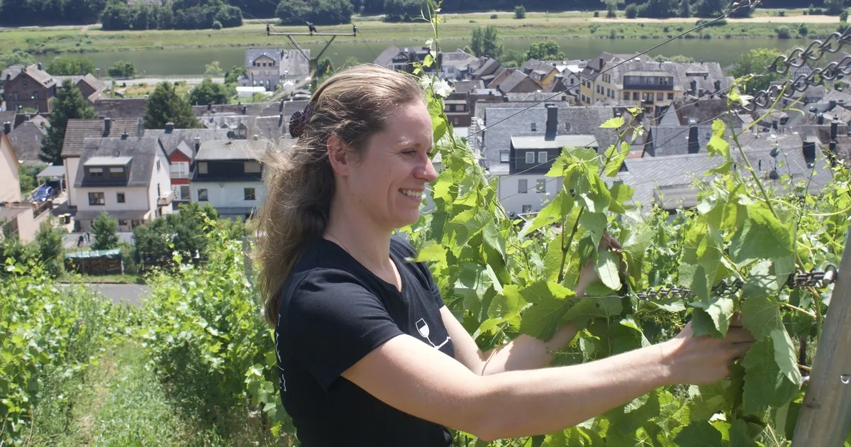 Jungwinzerin trotz(t) Diagnose: Electronic Wine war für Anna-Maria ...