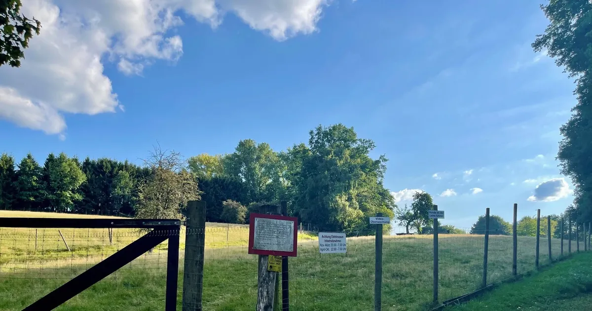 Kluwo untersucht Spuren: Hat Wolf Damwild in Flammersfelder Tierpark ...