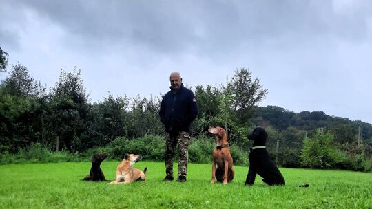 Experte Jörg Denzin gibt Tipps: Hundeerziehung – wie mache ich es ...