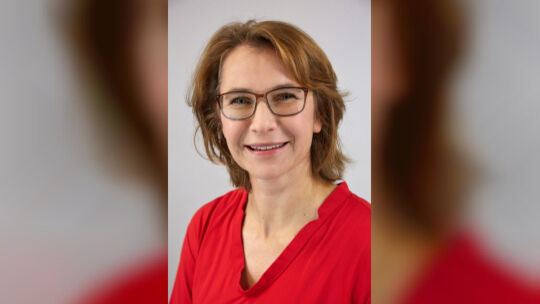 Schwere Zeiten im Weinbau: Winzer können nur individuelle Wege aus der ...