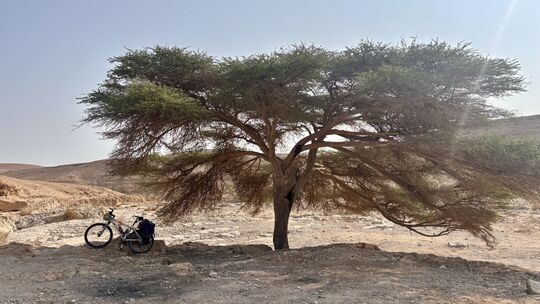 Radreise in Israel: Holprig im Sattel durch die Wüste Negev zum Roten ...