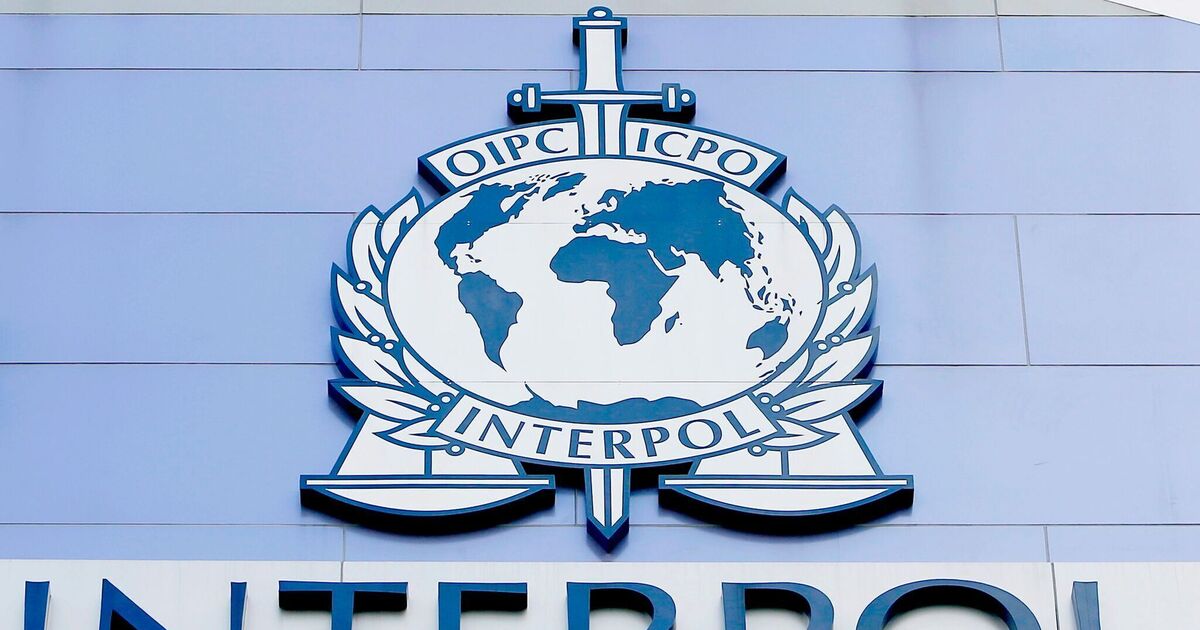 Fälle mit hoher Priorität: Große Interpol-Fahndungsaktion führt zu 85 ...