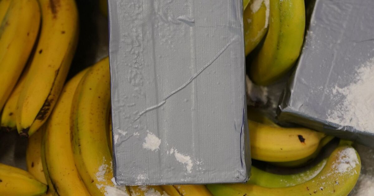 Drogenschmuggel: Europol: Kokain mit U-Boot und perfekt getarnt nach ...