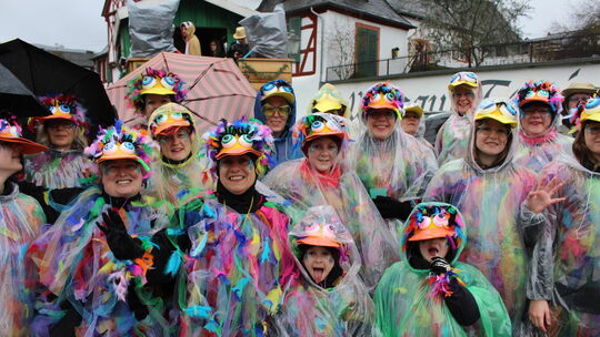 Karneval 2026: Die schönsten Bilder vom Rosenmontag in Cochem-Zell ...