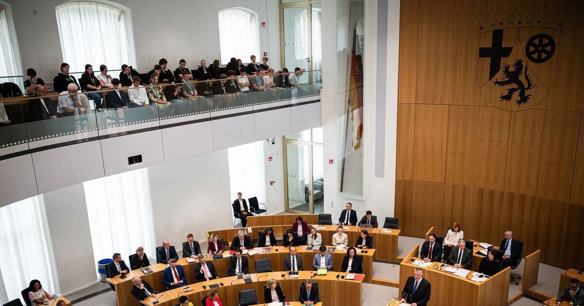 Wahlen im Plenum: Landtag besetzt Kontrollkommission ohne AfD-Vertreter ...